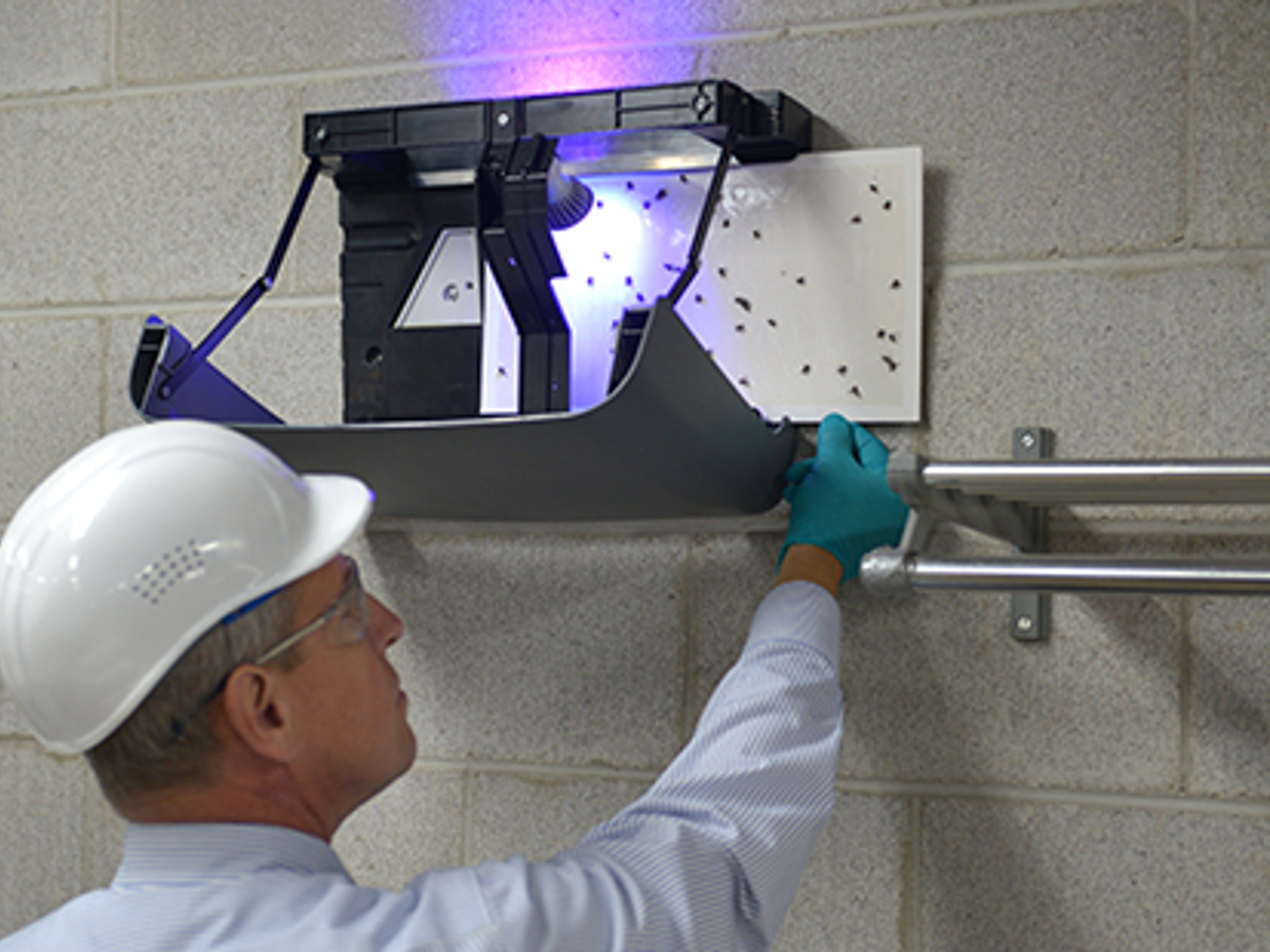 Fly Lights: One Part of Outside-In Pest Control