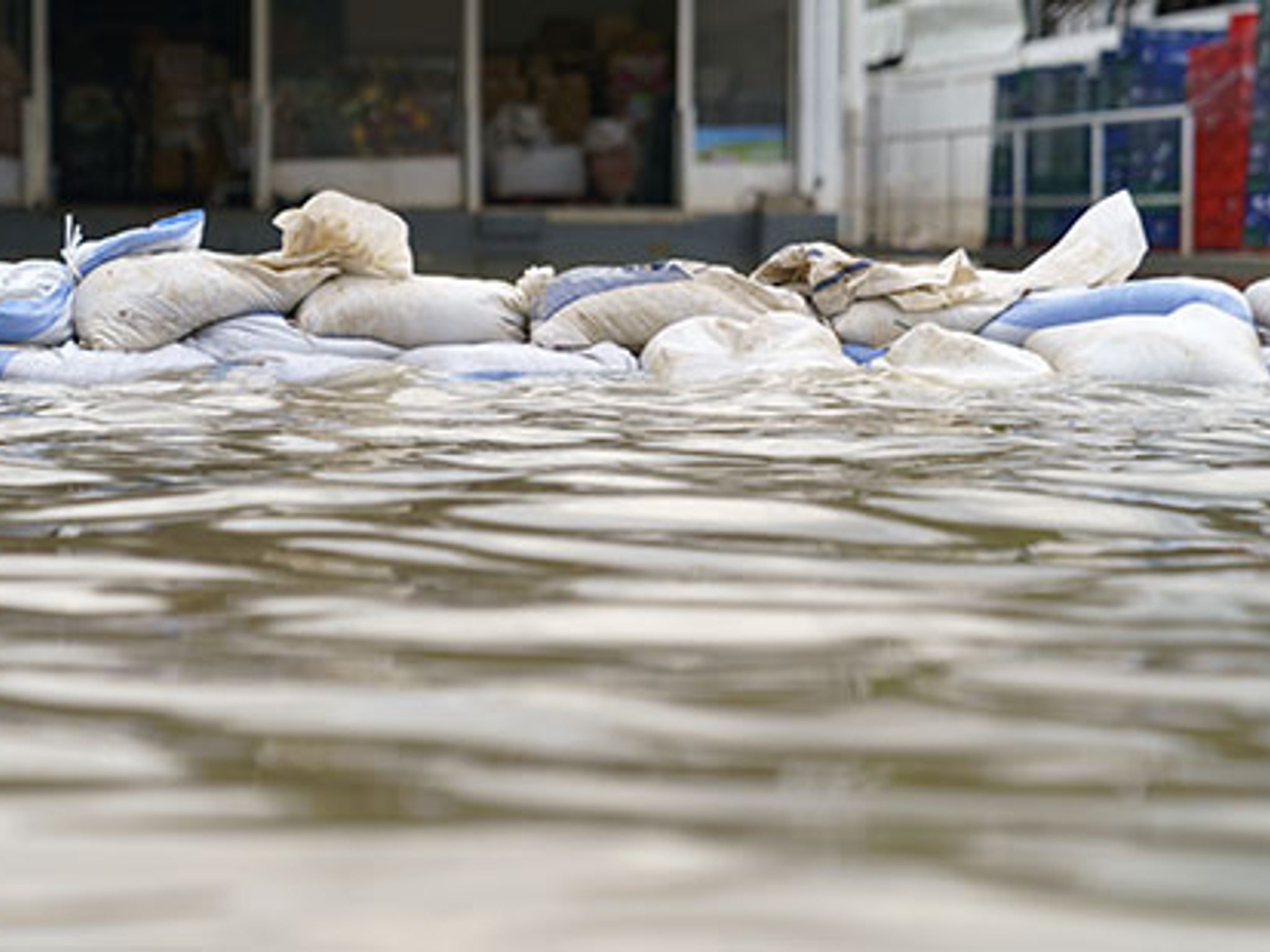 Flooding and Pest Control